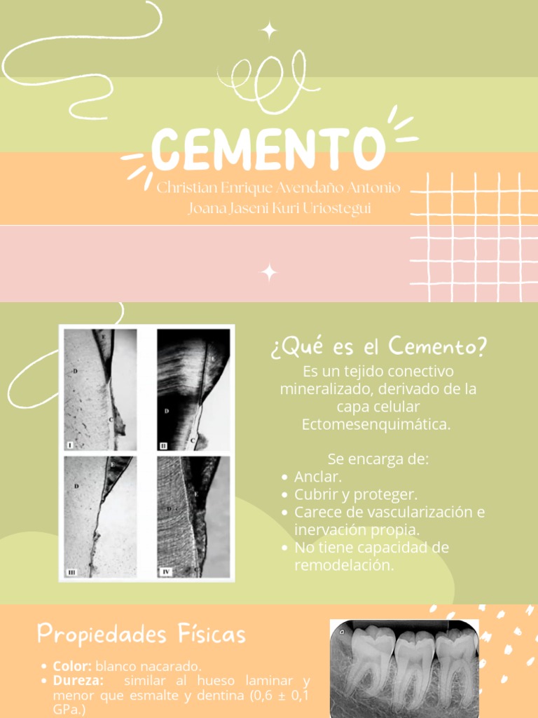 Cemento: Un tejido conectivo mineralizado clave en la anatomía dental ...