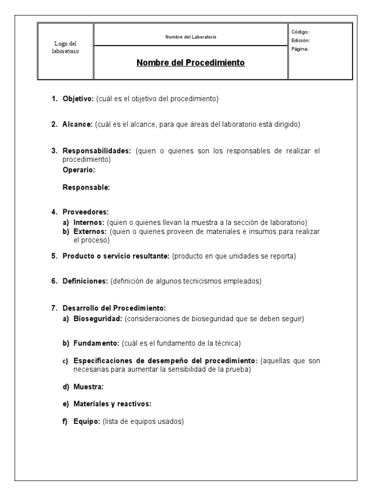 Formato Elaboración POE | PDF