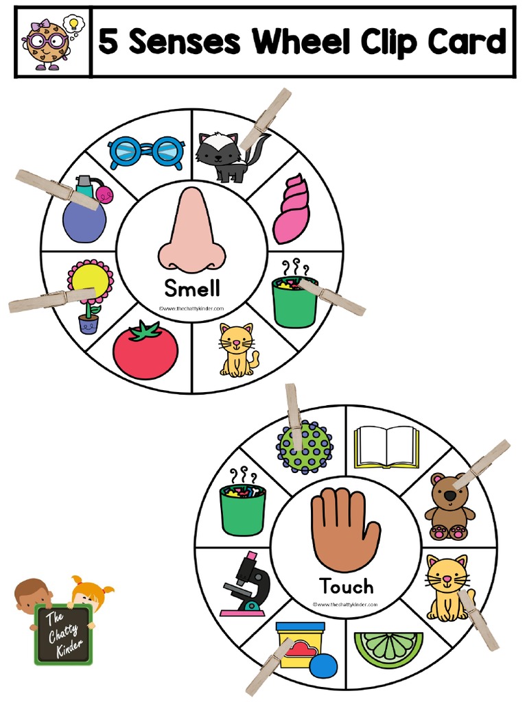 Five Senses Wheel Clip Cards | PDF