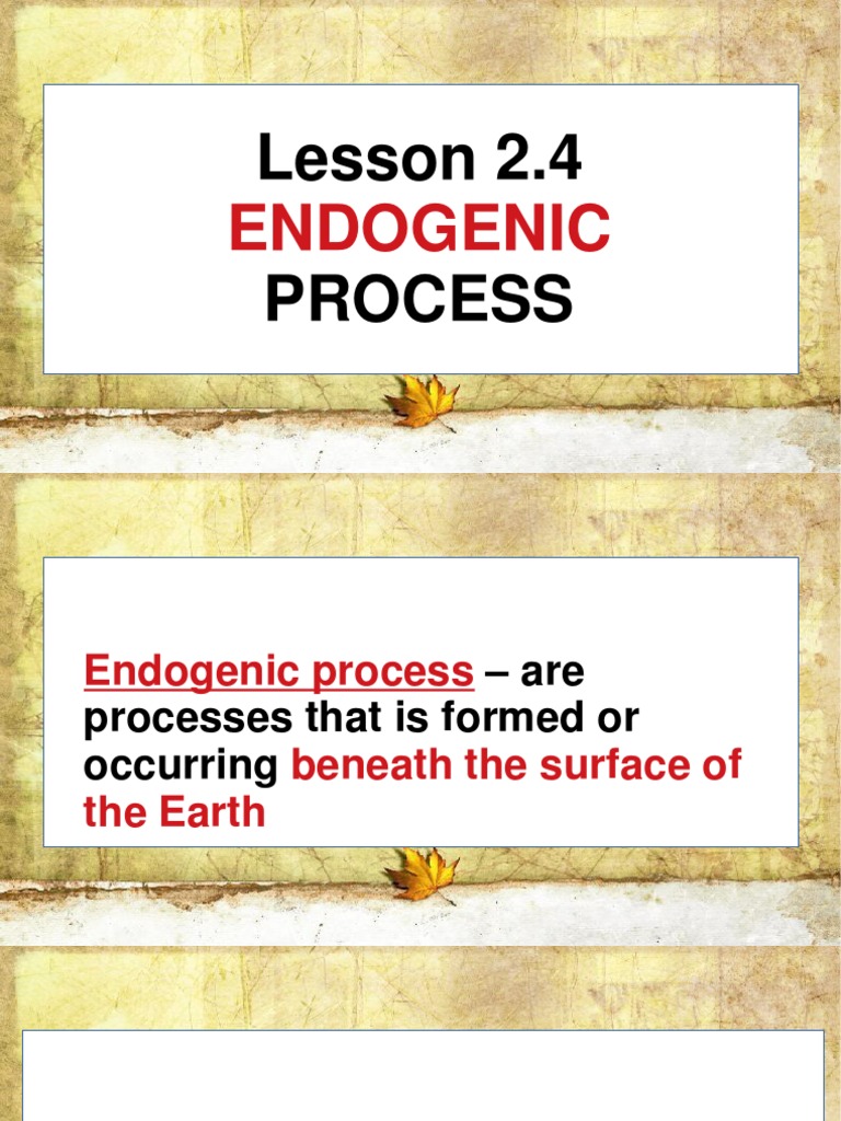 8 Endogenic-Processes | PDF | Fault (Geology) | Magma