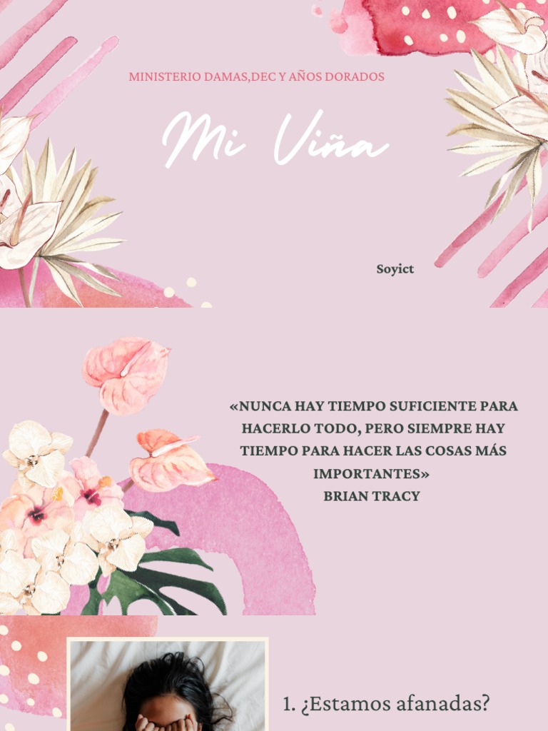 Tema 1 Mi Vina Diapositiva | PDF