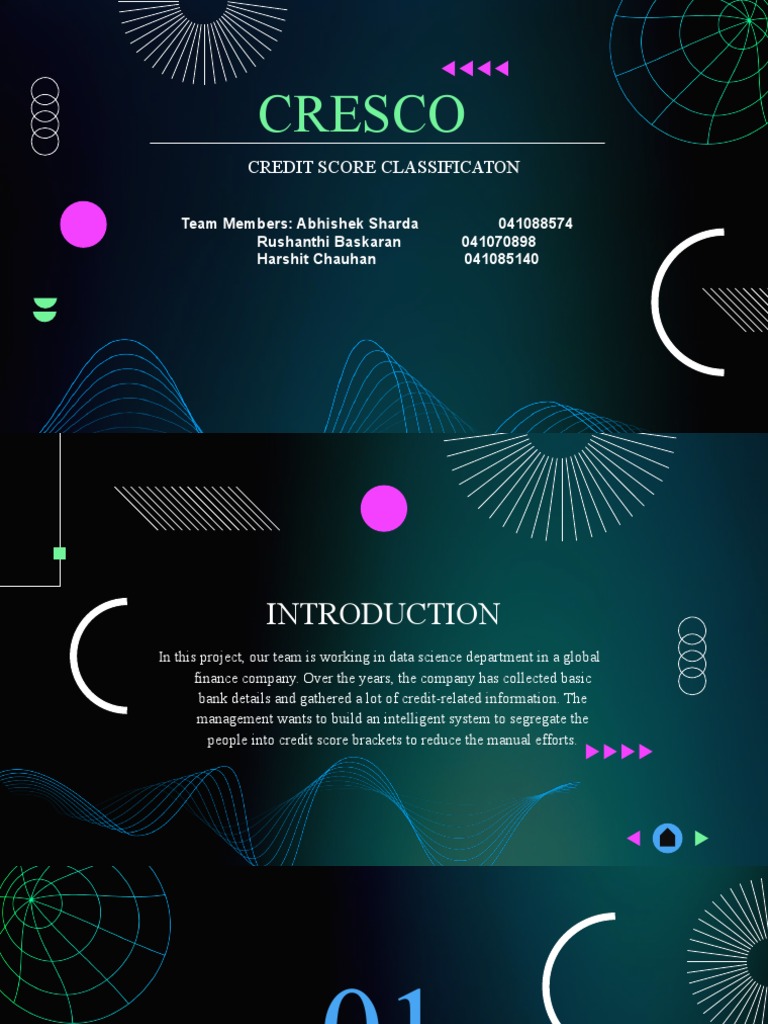 Data Science Project Slides | PDF