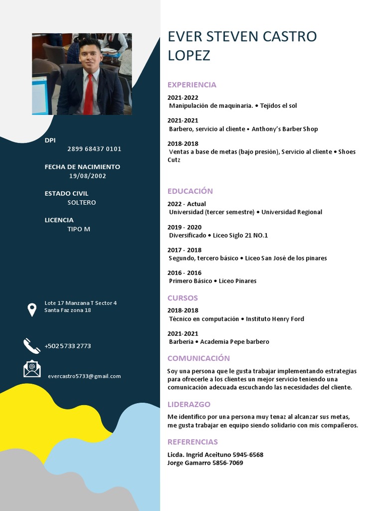 Curriculum Steven Castro | PDF