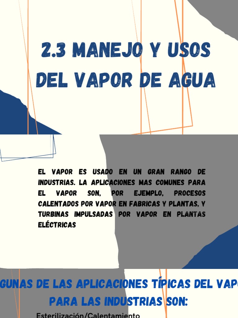 2.3 Manejo y Usos Del Vapor de Agua | PDF | Vapor de agua | Agua