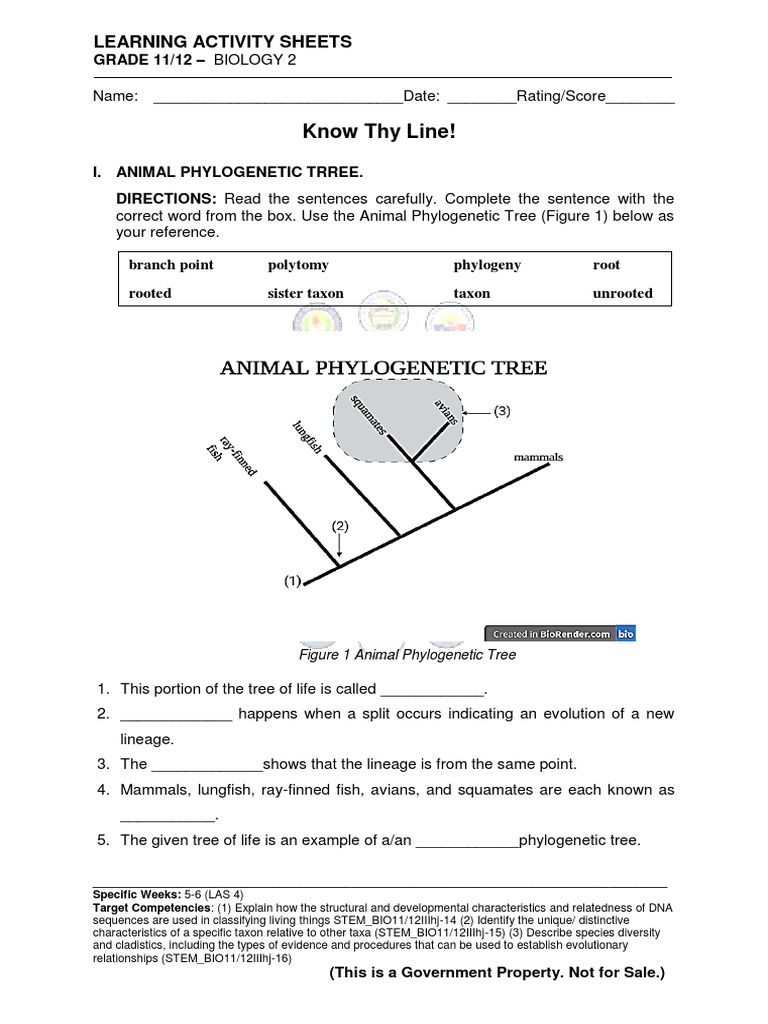 Biology 2 - Las 4 | PDF | Phylogenetic Tree | Taxon