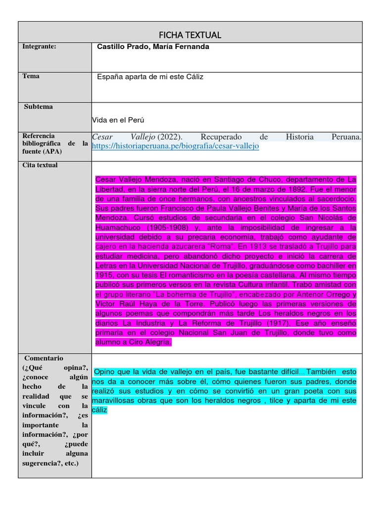 Formatos de fichas textual y de resumen fernanda | PDF