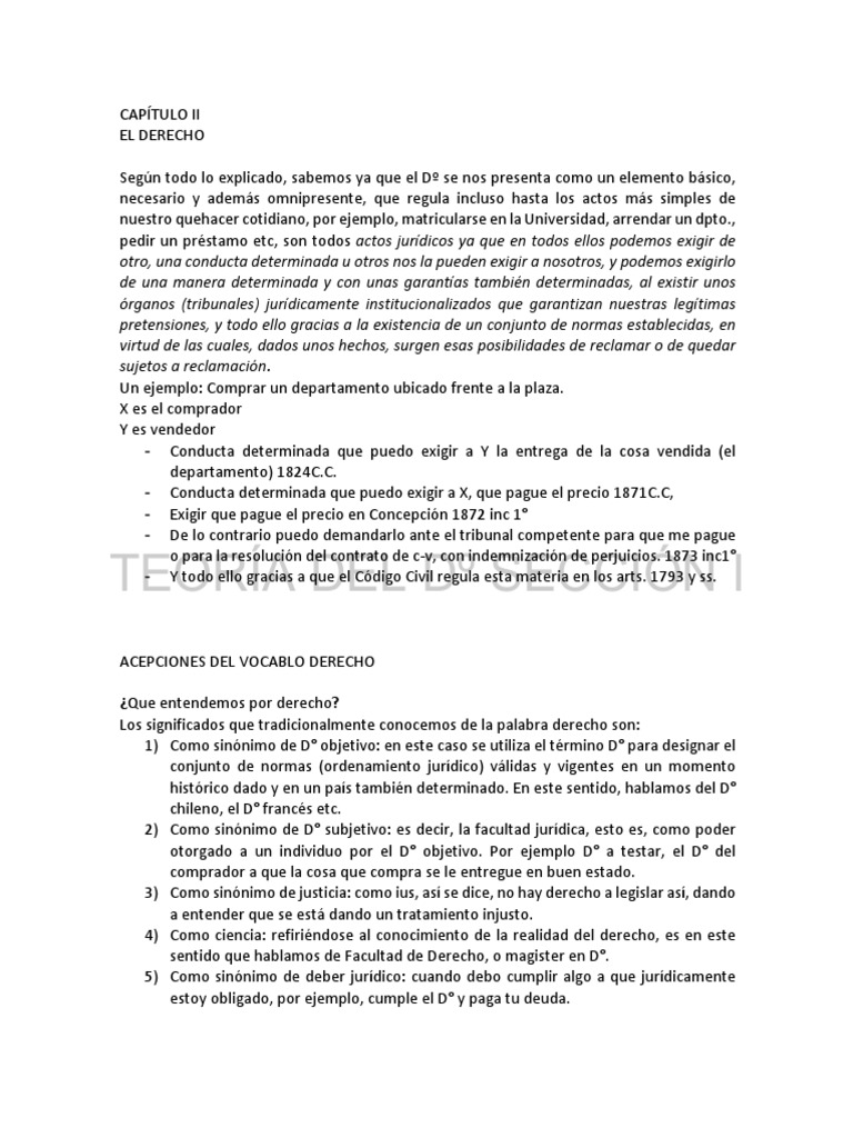 Apunte 2 CAPÍTULO II COMPLETO | PDF