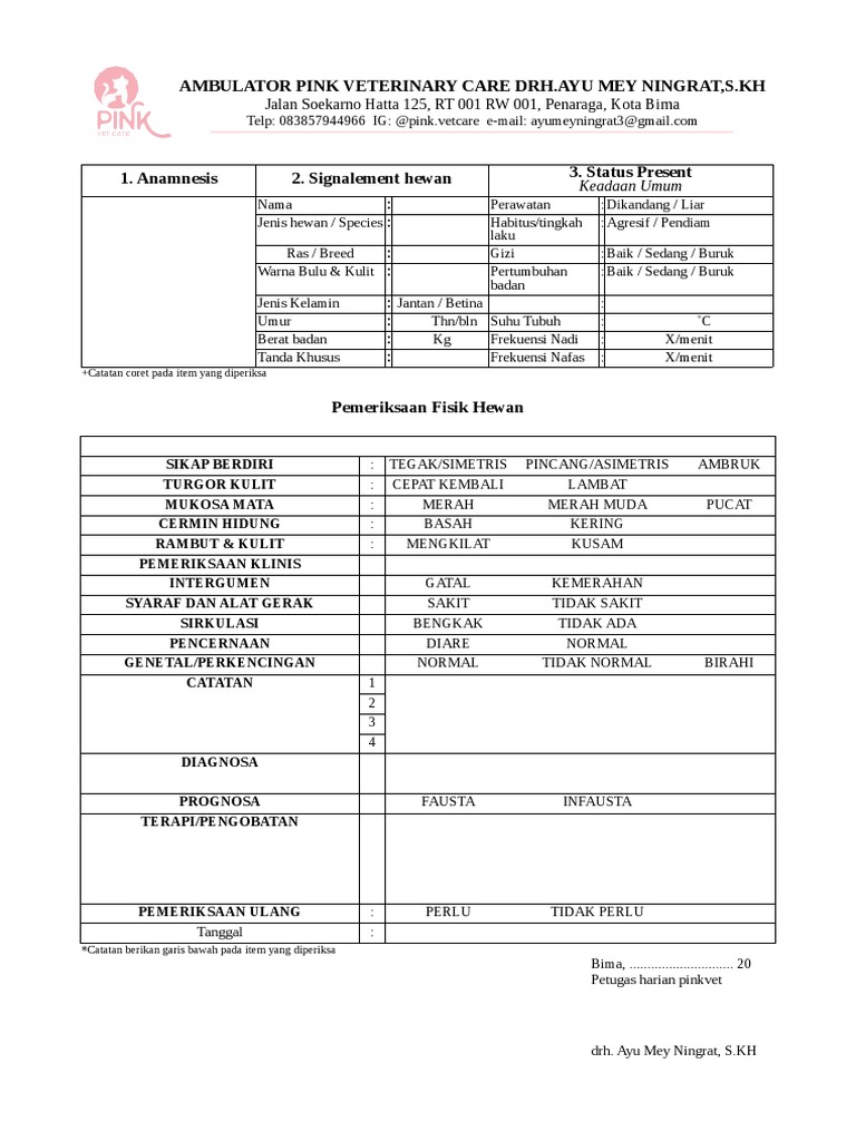 Ambulator Pink Vet | PDF