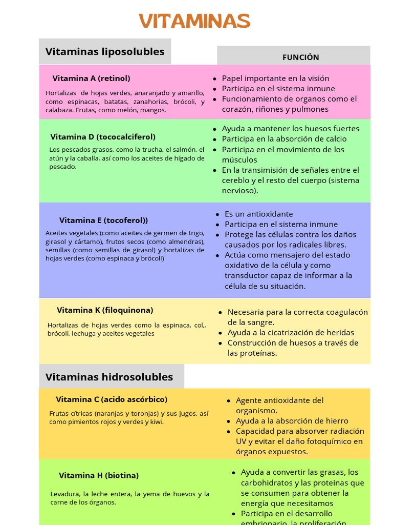 VITAMINAS | PDF