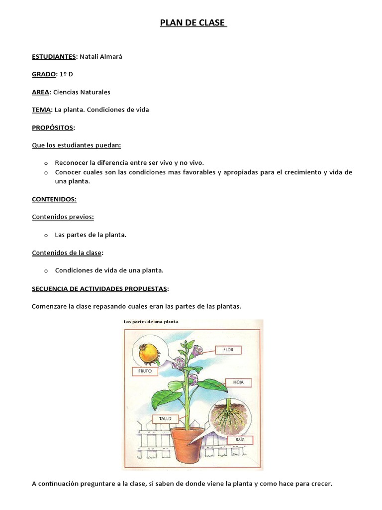 PLAN DE CLASE Ciencias Naturales | PDF | Semilla | Plantas