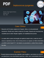Diagnóstico y Tratamiento de Streptococcus pyogenes | PDF | Penicilina ...