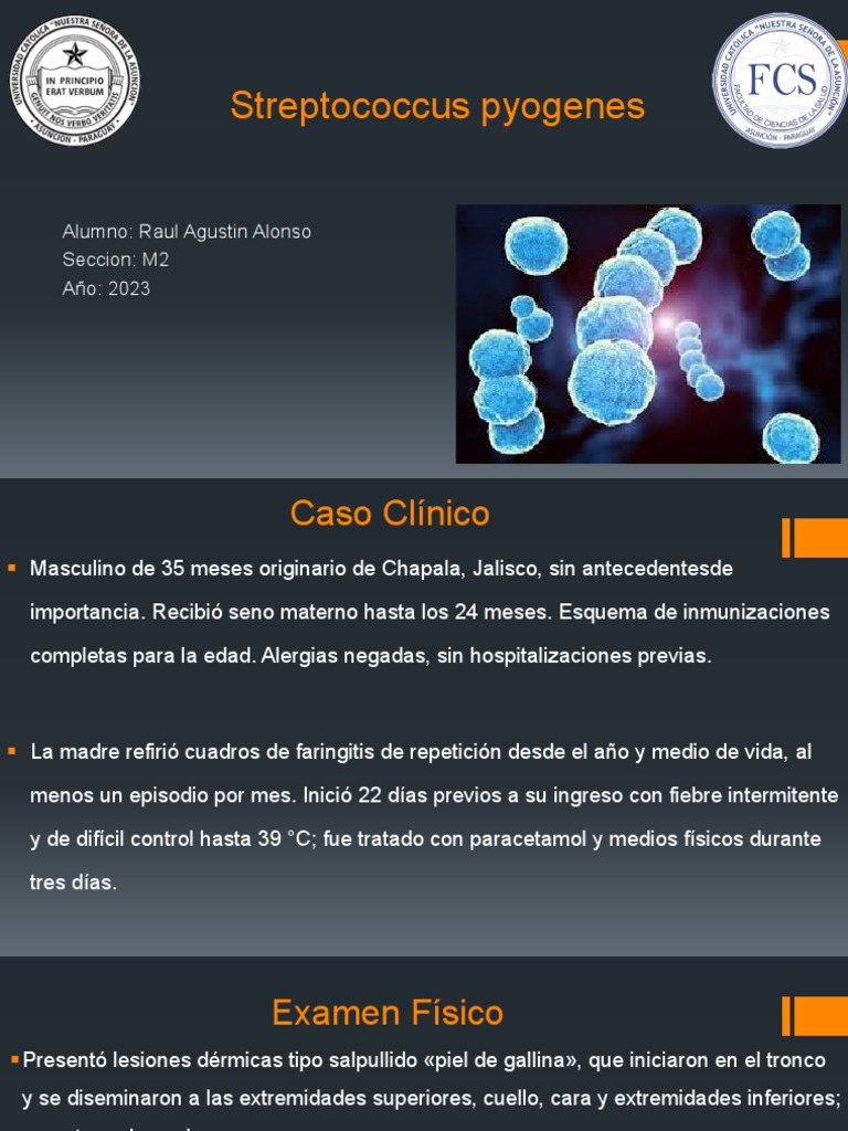 Streptococcus Pyogenes | PDF | Estreptococo | Penicilina