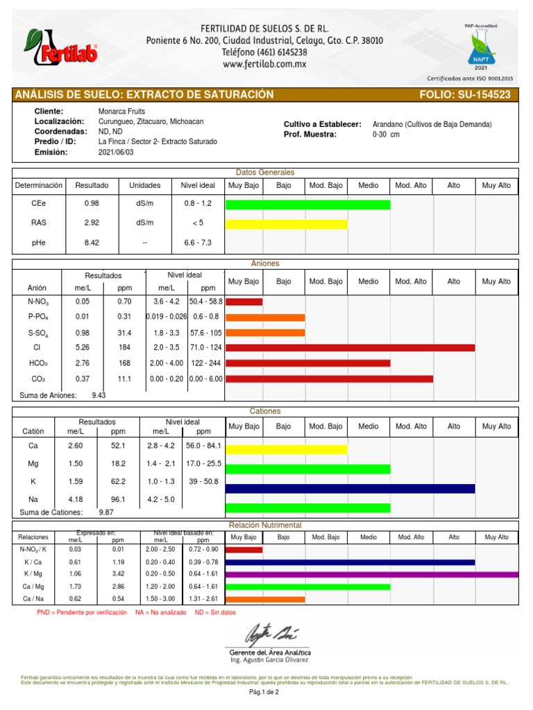Análisis Extracto | PDF | Compuestos químicos | Materiales