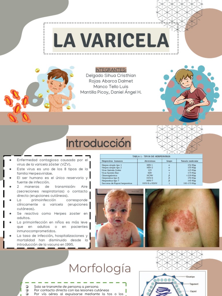 Varicela: Guía Completa y Prevención | PDF | Virus | Enfermedades virales
