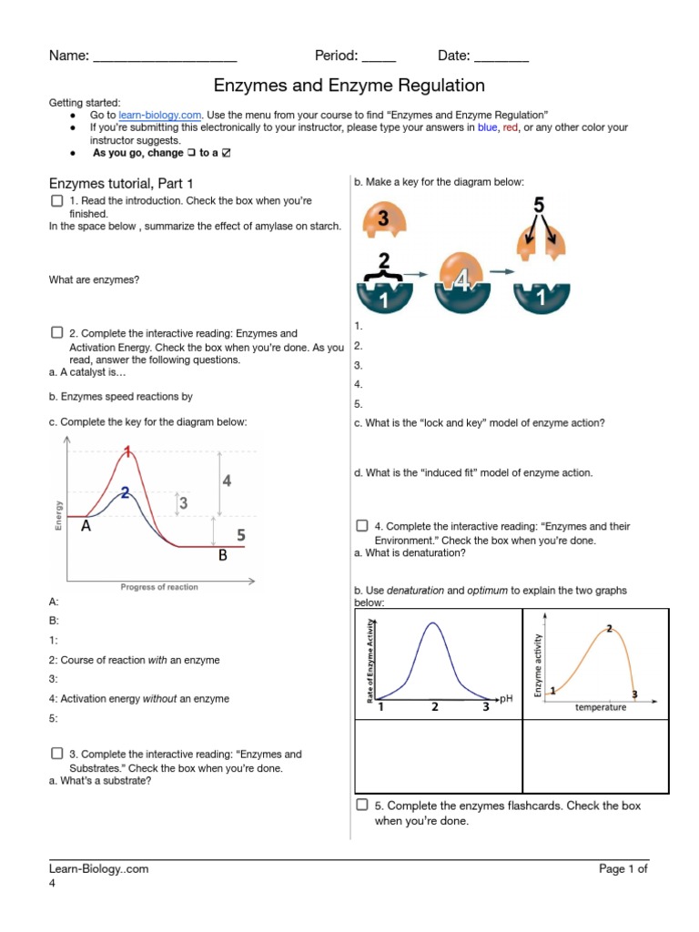 TOPIC 3.1 - 3.3 - Enzymes, L-B (2021) | PDF
