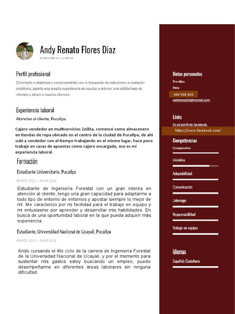 CV Andy - Flores | PDF