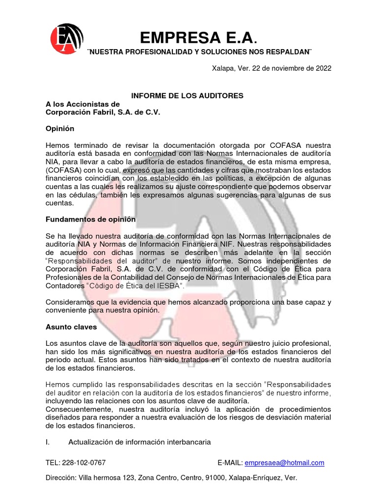 INFORME - Ramirez Perla | PDF | Auditoría | Estado financiero