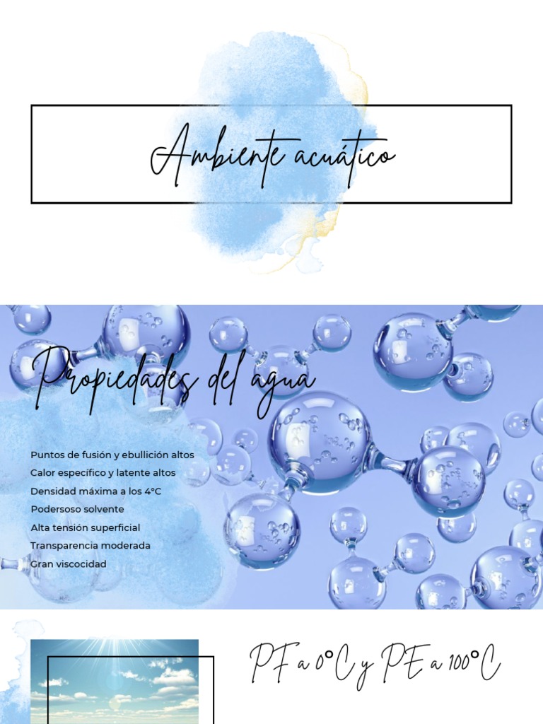Propiedades Del Agua | PDF | Agua | Líquidos