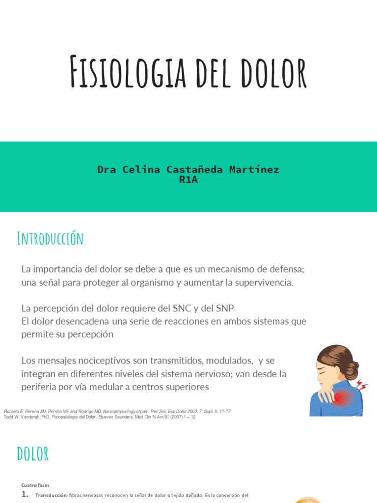 Fisiologia Del Dolor | PDF | Dolor | Neurona