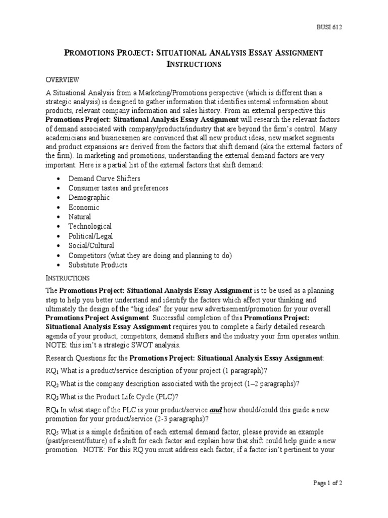 Promotions Project Situational Analysis Essay Assignment Instructions | PDF | Demand | Marketing