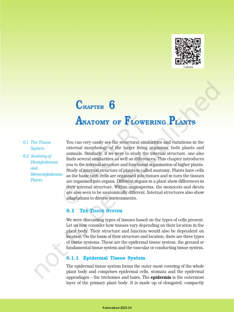 Kebo 106 | PDF | Leaf | Plant Stem