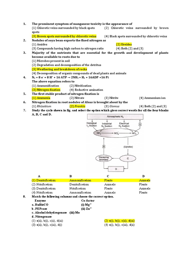 Crash Course-5 | PDF