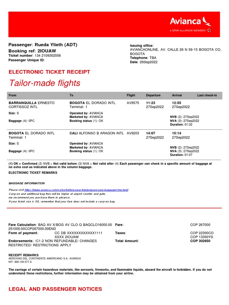 Tailor-Made Flights: Electronic Ticket Receipt | PDF | Airlines | Aviation