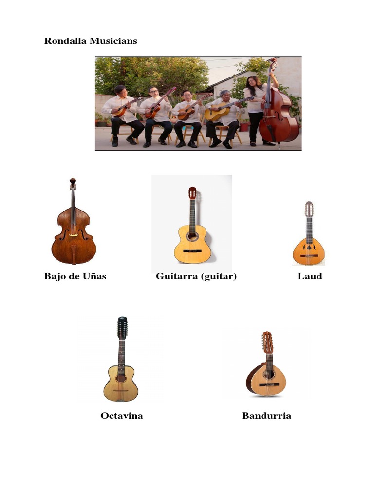 Rondalla Musicians | PDF
