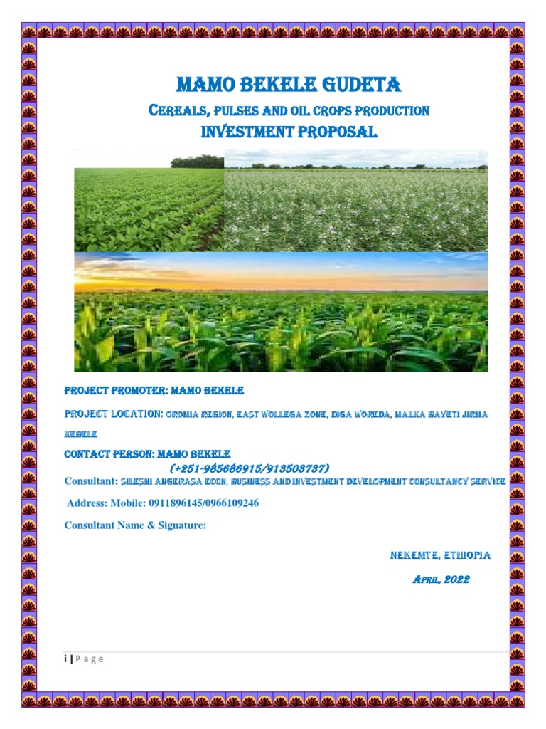 Mamo Bekele - Farming PLC Inve Proposal Edited1 | PDF | Agriculture ...