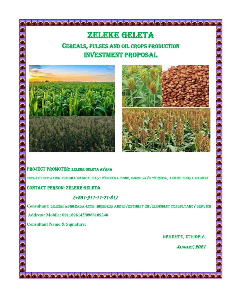 Zeleke Geleta Inves Proposal - G Sayo | PDF | Agriculture | Food Security
