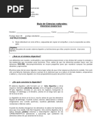 Digestión: Bolo, Quimo y Quilo | PDF | Digestión | Tracto gastrointestinal