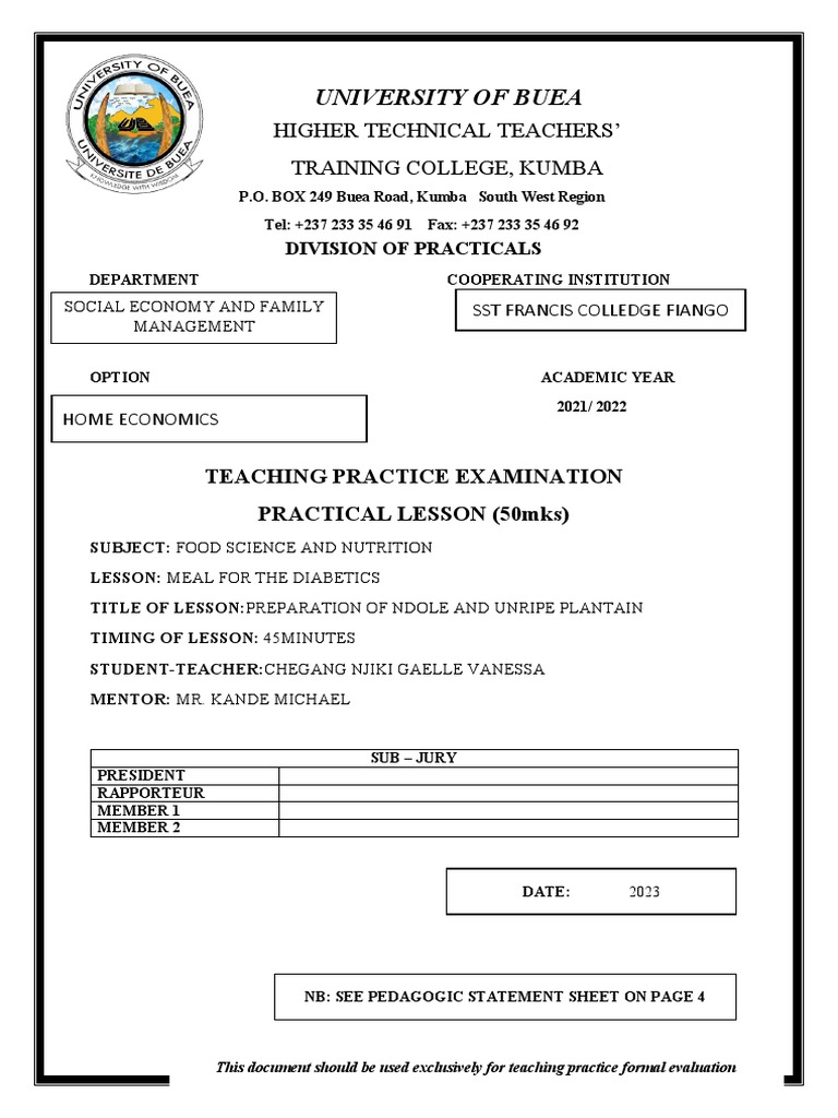 Lesson Preparion Form - Practical Lesson PHALLON WANDJI | PDF