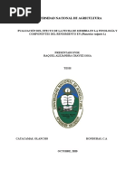 Ficha Tecnica Bullgrass 30.4 SL | PDF | Plantas | Botánica