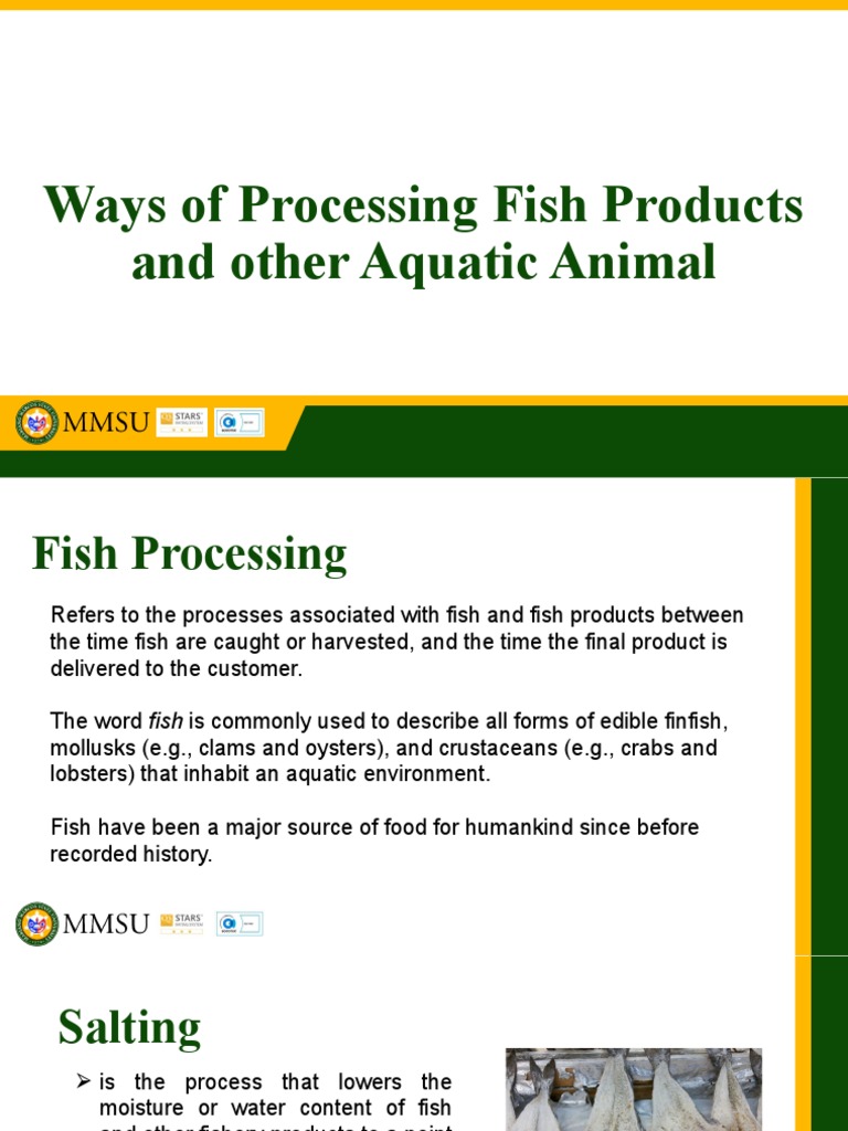 Ways of Processing Fish Products and Other Aquatic Animal | PDF ...