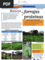 Ficha Tecnica Bullgrass 30.4 SL | PDF | Plantas | Botánica