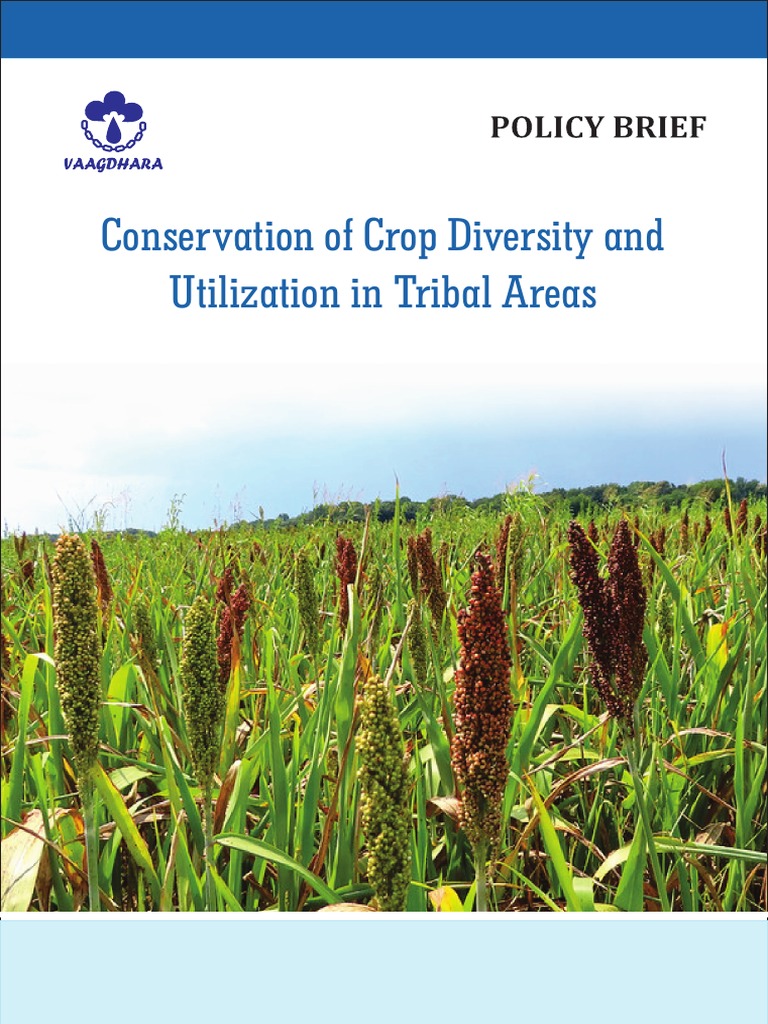 Tribal Crop Diversity Conservation | PDF | Agriculture | Nutrition