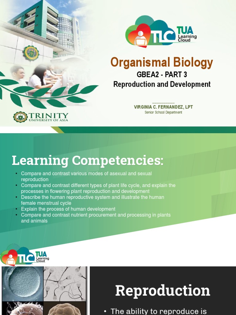 Organismal Biology - Reproduction and Development | PDF | Reproduction ...