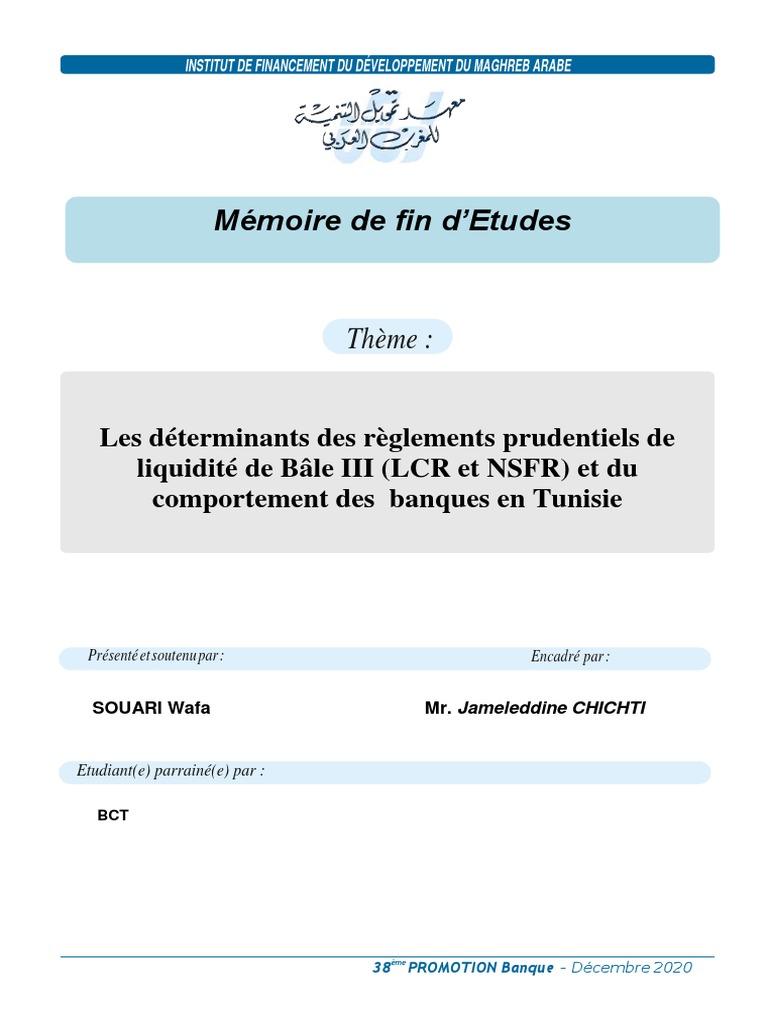 Mémoire de Fin D'etudes: Thème | PDF