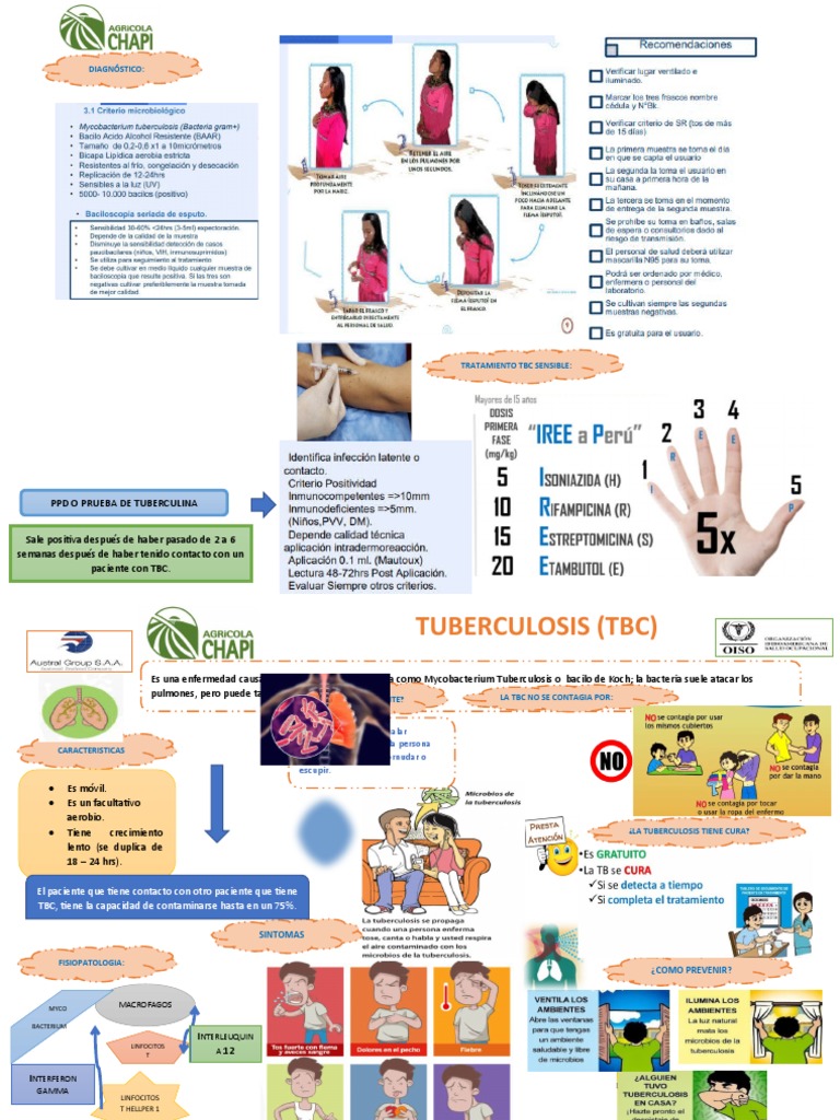 Folleto de Tuberculosis | PDF