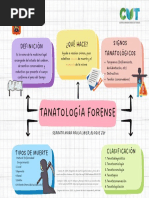 Corificación Cadavérica: Proceso y Características | PDF ...