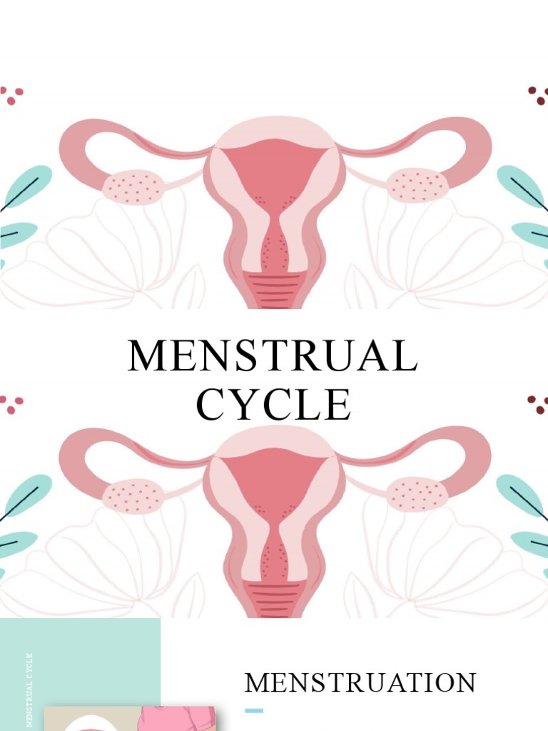 Menstrual Cycle | PDF | Menstrual Cycle | Female Mammals