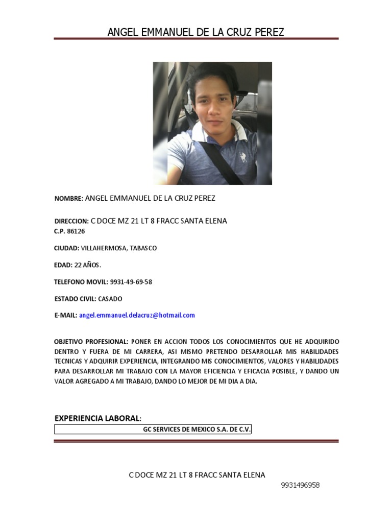 Curriculum - Angel | PDF