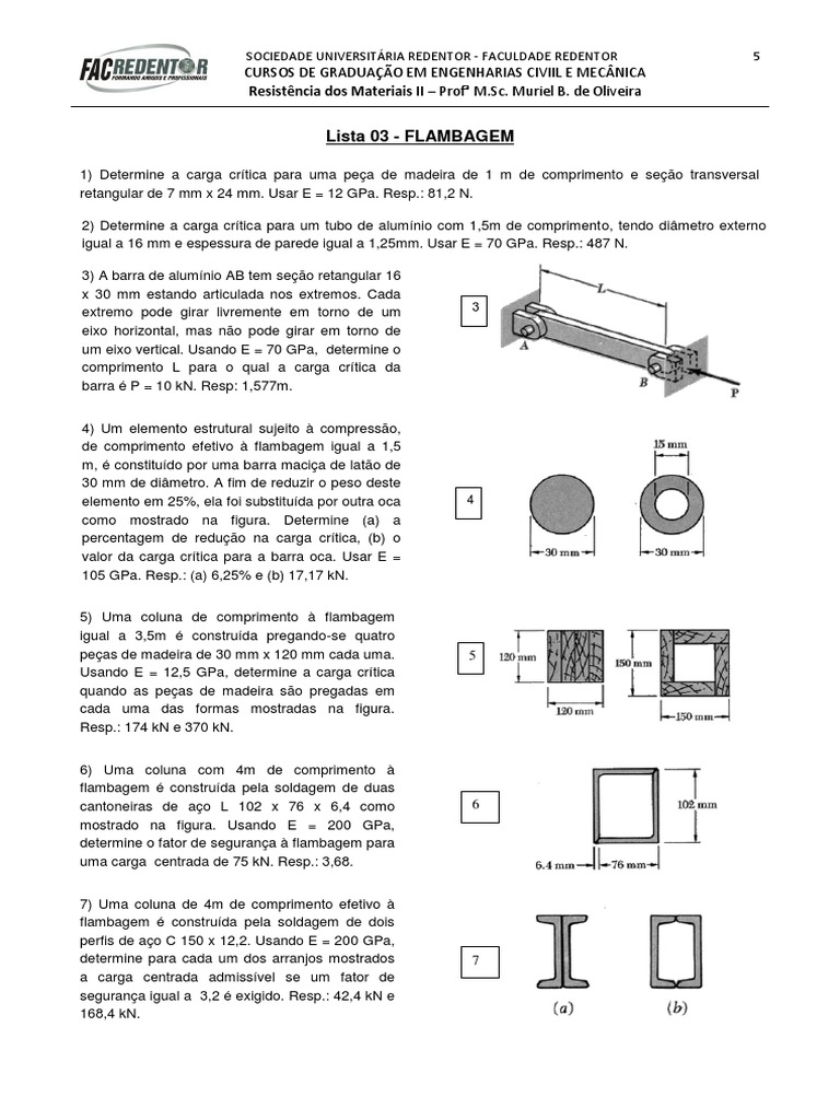 Flambagem de elementos estruturais sob compressão: exercícios de ...