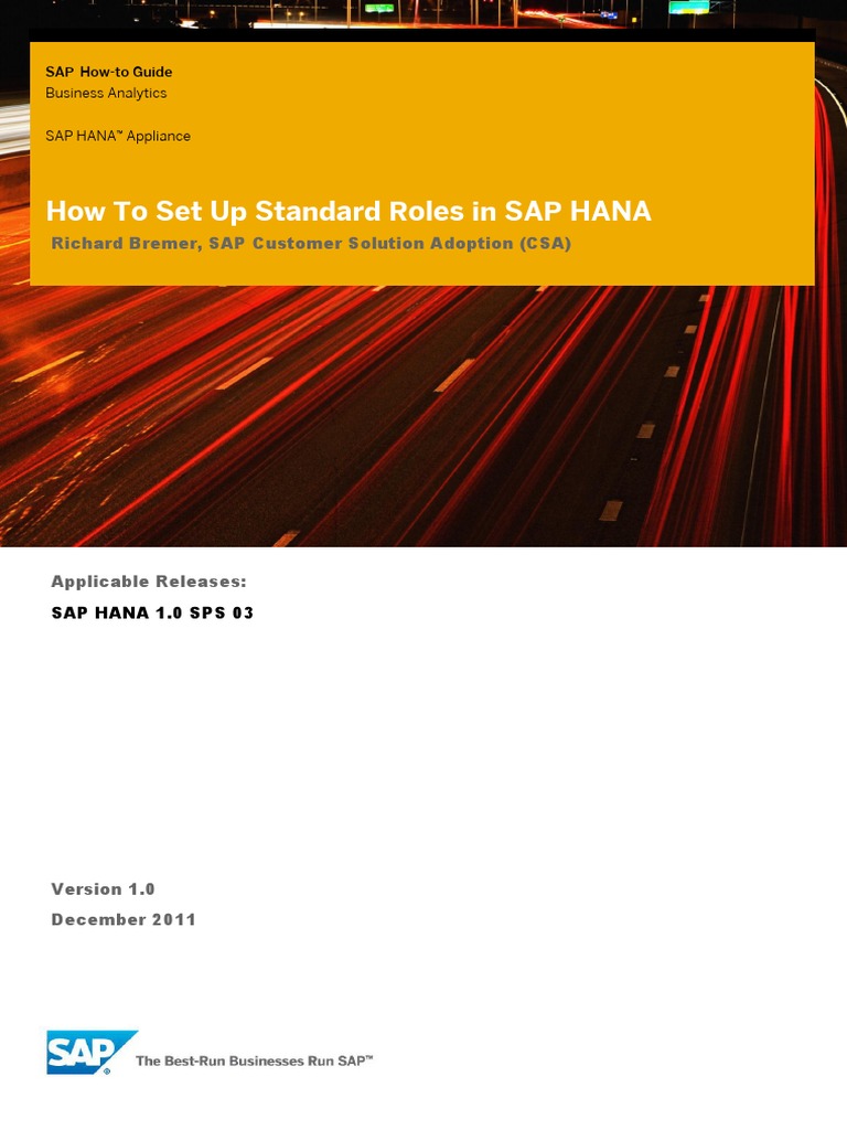 How To Set Up Standard Roles in SAP HANA | PDF