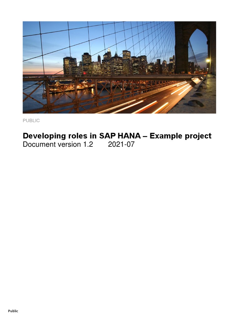 Best Practices and Examples For Developing Roles in SAP HANA - Example ...