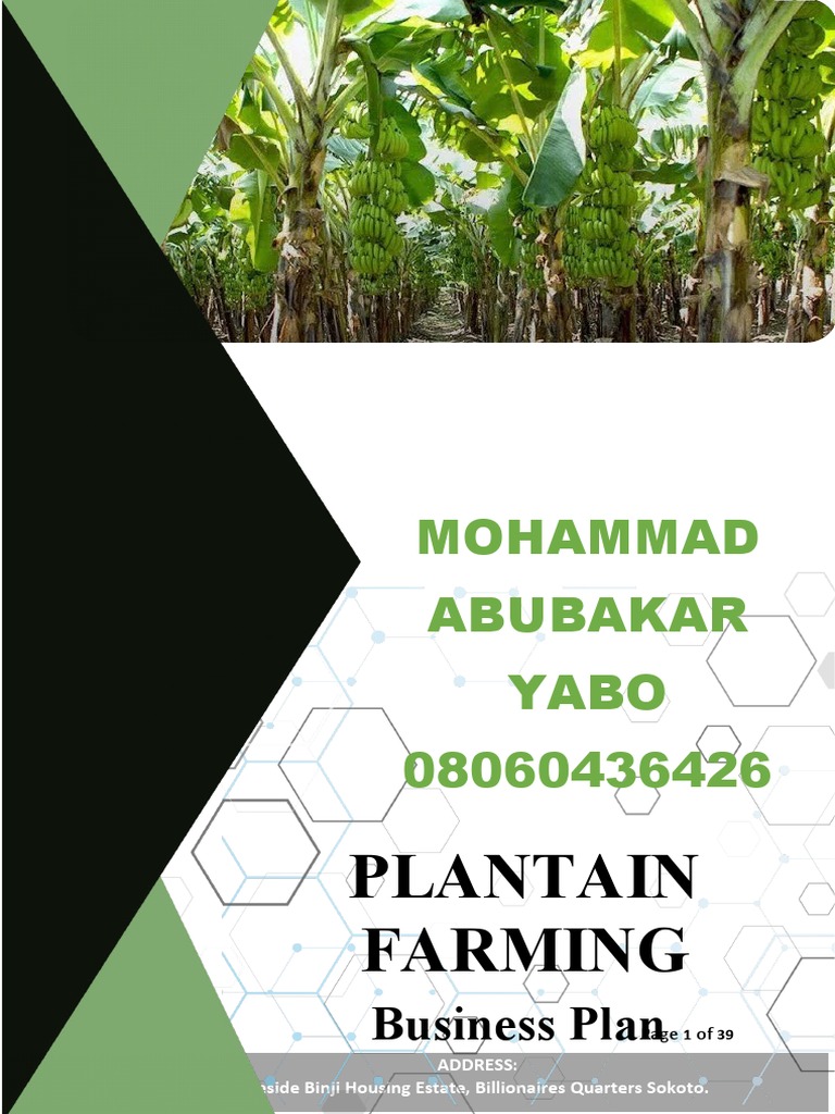 PLANTAIN FARMING BUSINESS PLAN Mohammad Abubakar Yabo | PDF ...