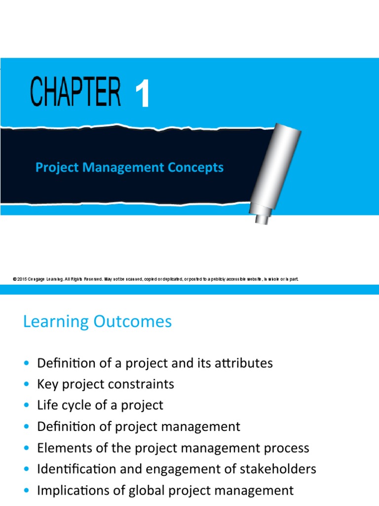MGT4312 Chap1 | PDF | Project Management | Business