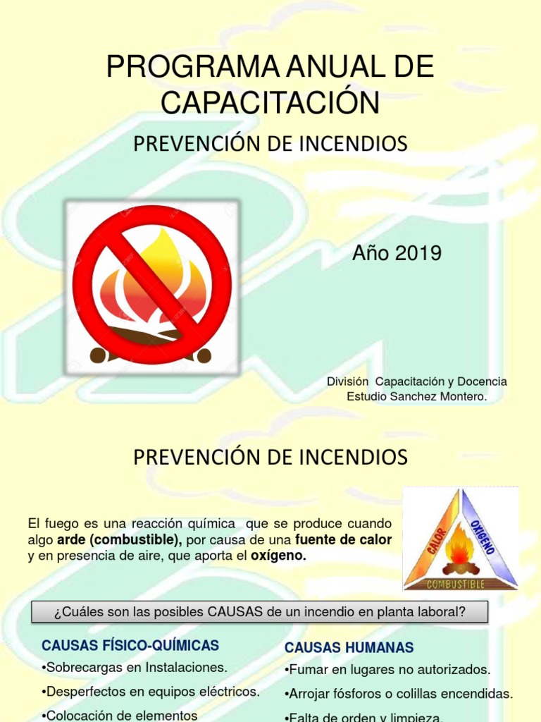 04-2019-Prevencion de Incendio | PDF | Incendios | Naturaleza