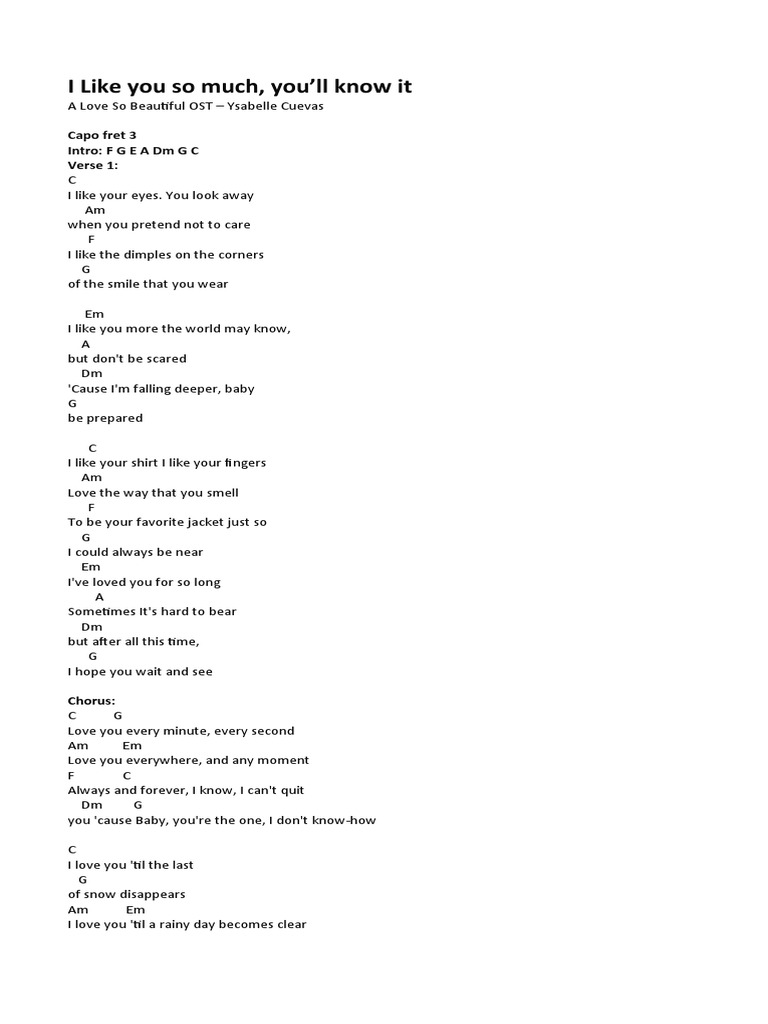 I Like You So Much | PDF