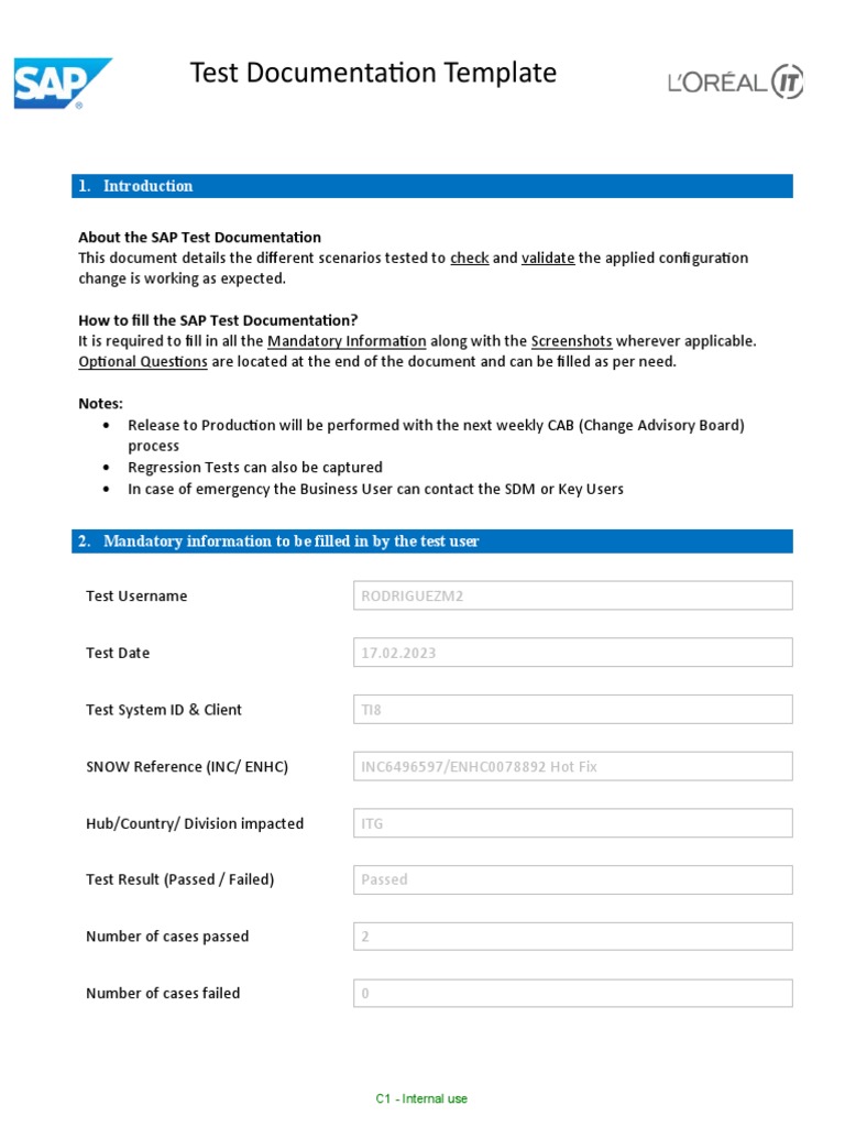 EMEA IT SAP Test Documentation Template | PDF